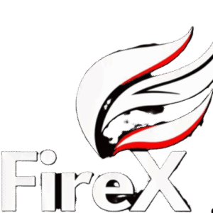 Fire Extinguishers - FireX Engineering Solutions